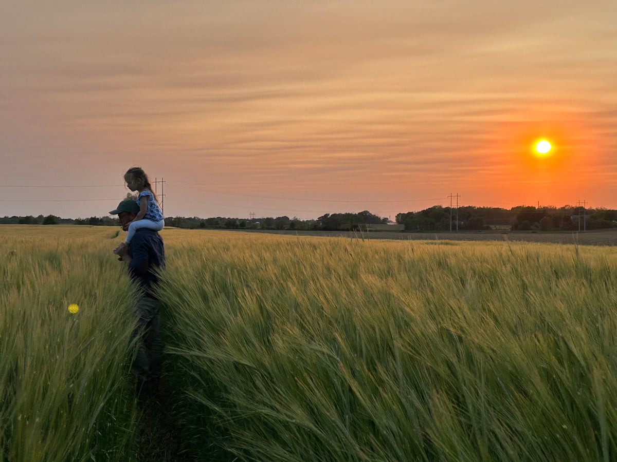 SUMMER 2024 RELEASE – Hanabi Lager Co.