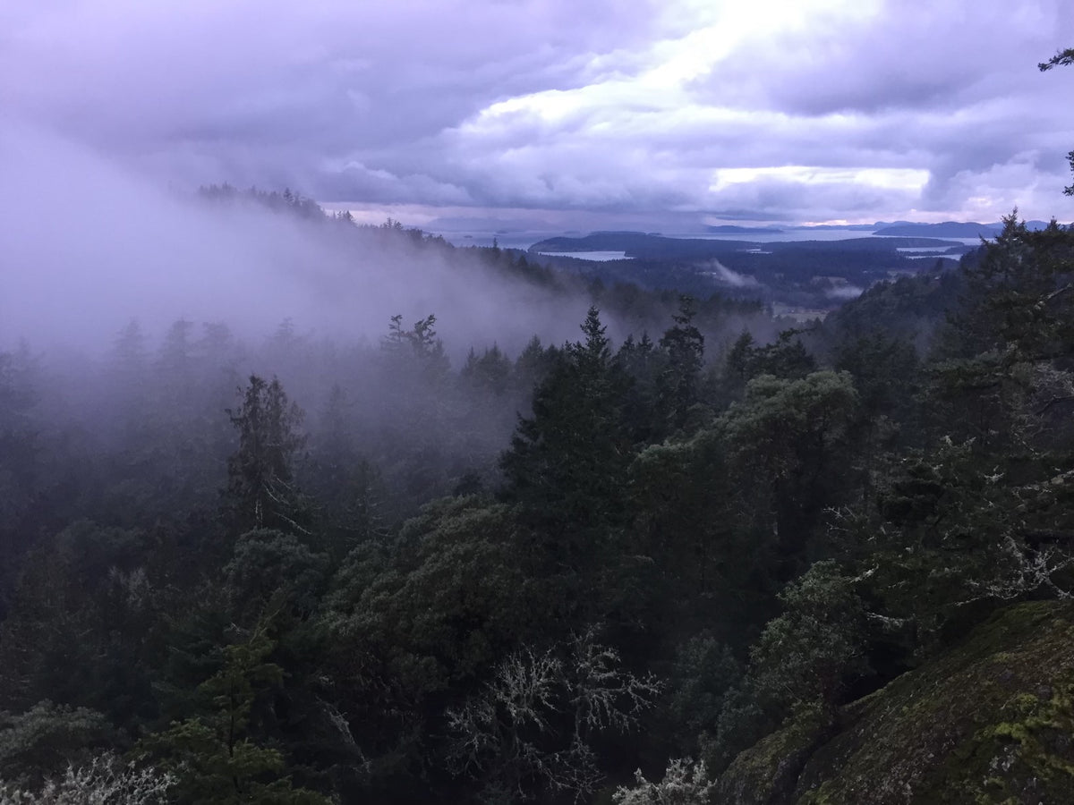 AUTUMN/WINTER 2024 RELEASE – Hanabi Lager Co.